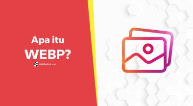 Mengenal Apa itu Gambar WebP, Kelebihan dan Kekurangannya